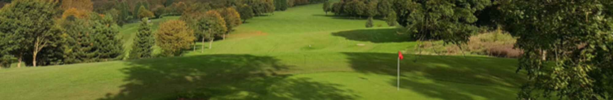 Home :: Midland Golf union